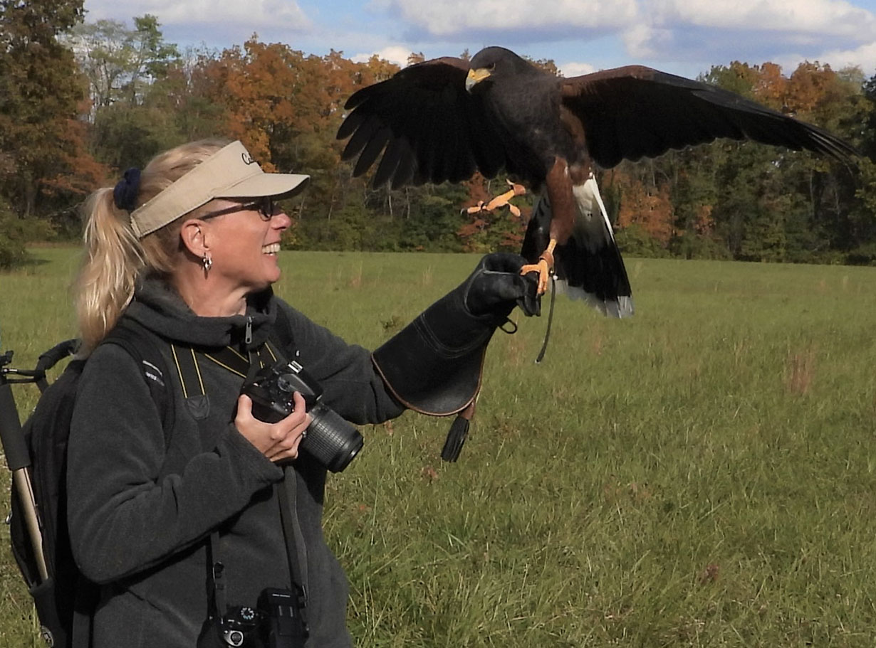Debbie Lentz Wildlife Artist
