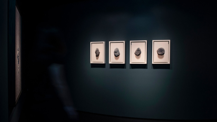 The White Rabbit Gallery Property Visualisation - 42 Interactive