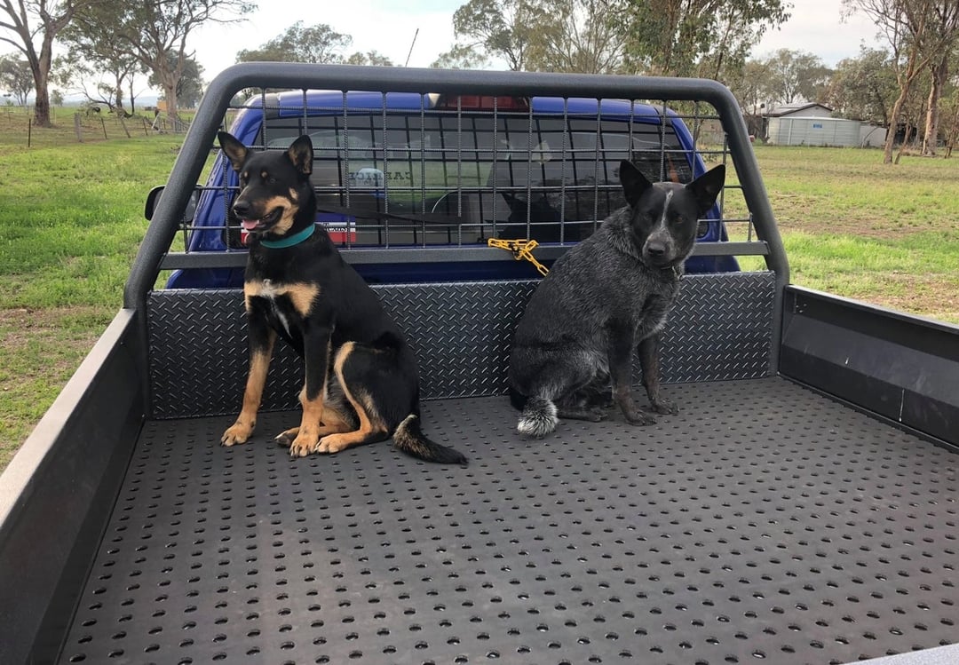 About Us - Andromeda Industries | Recycled Rubber Products