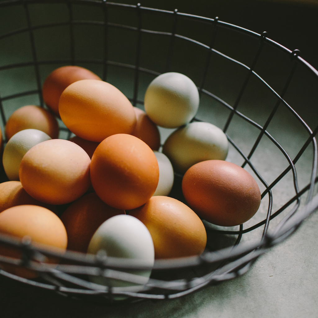 Biosecurity, Security & Egg Handling | Country Fresh Pullets Ltd.