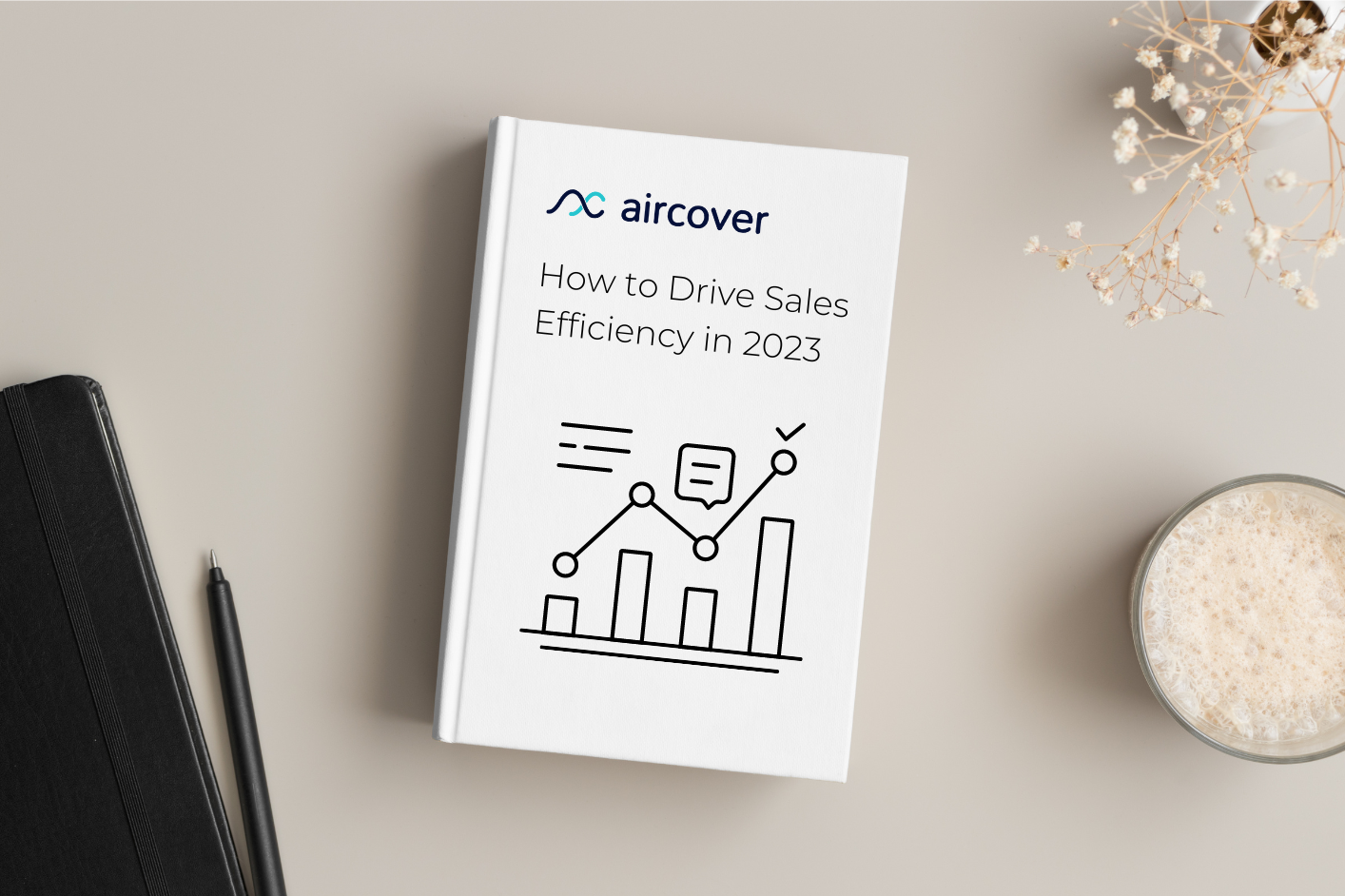 The Ultimate Guide to Accelerating Efficient Revenue Growth