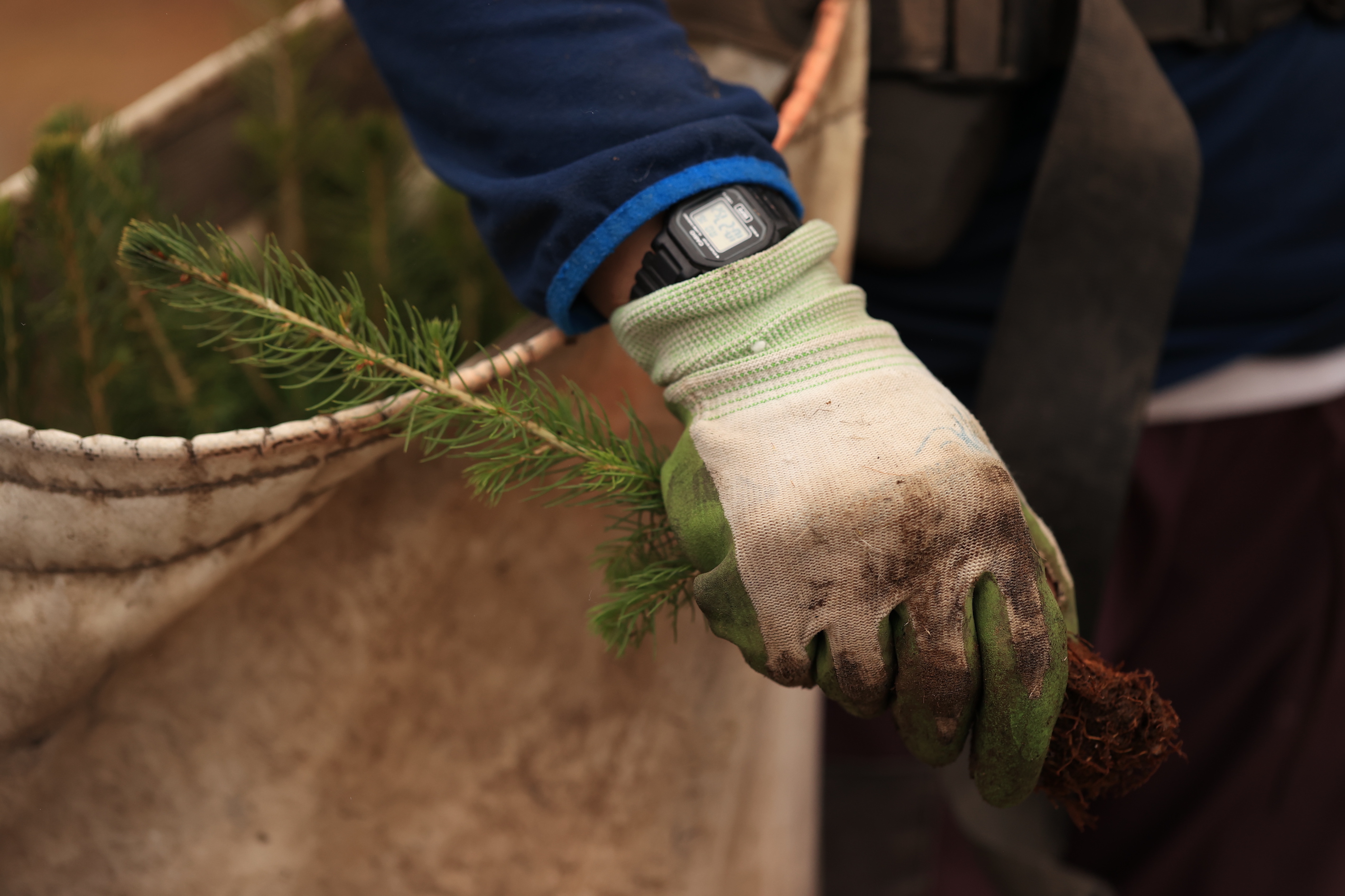 Engaging Communities Through Reforestation | Greenspark