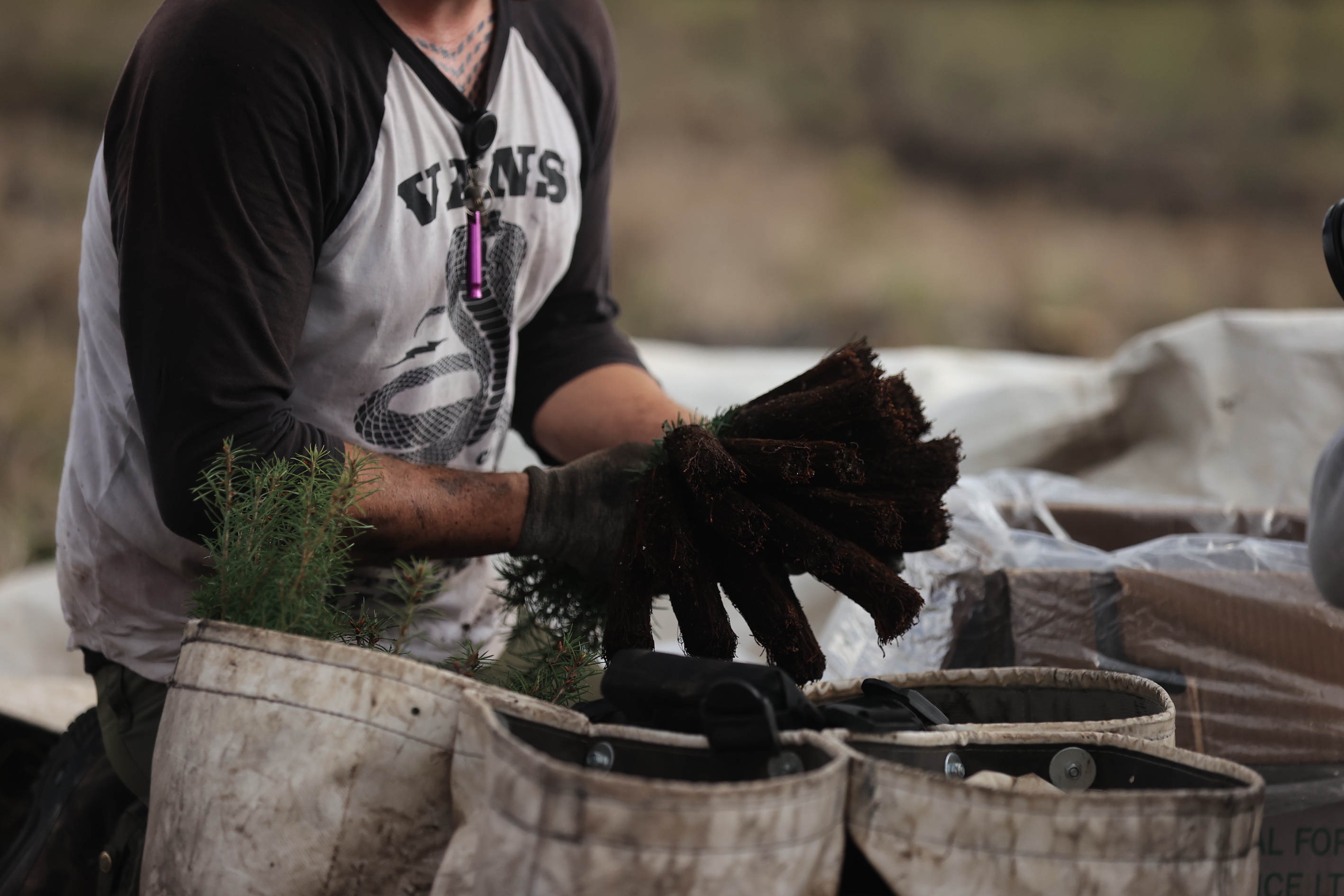 Engaging Communities Through Reforestation | Greenspark