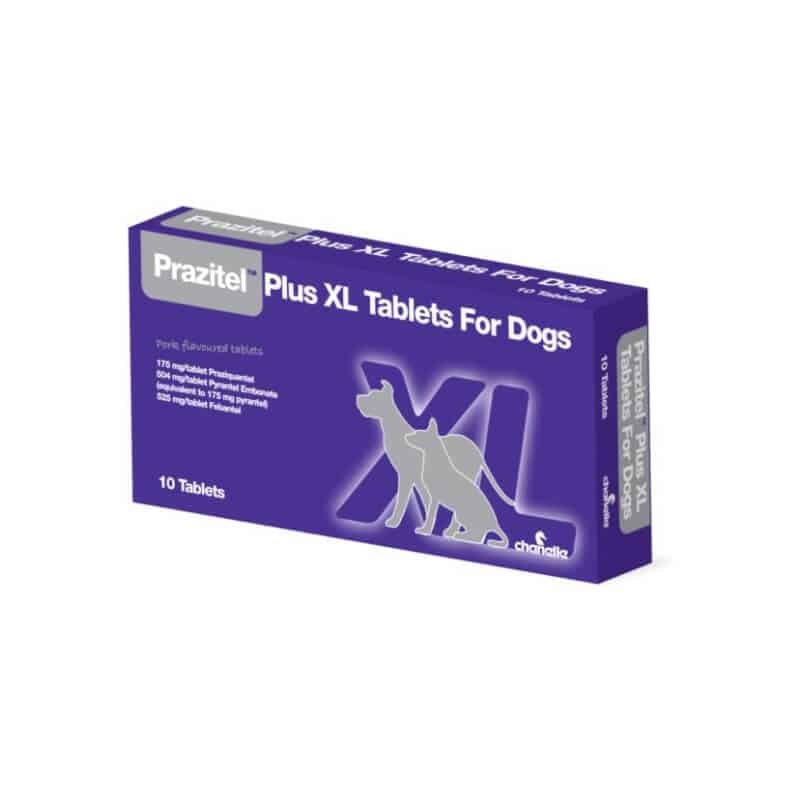 Prazitel Plus® XL - Chanelle Pharma