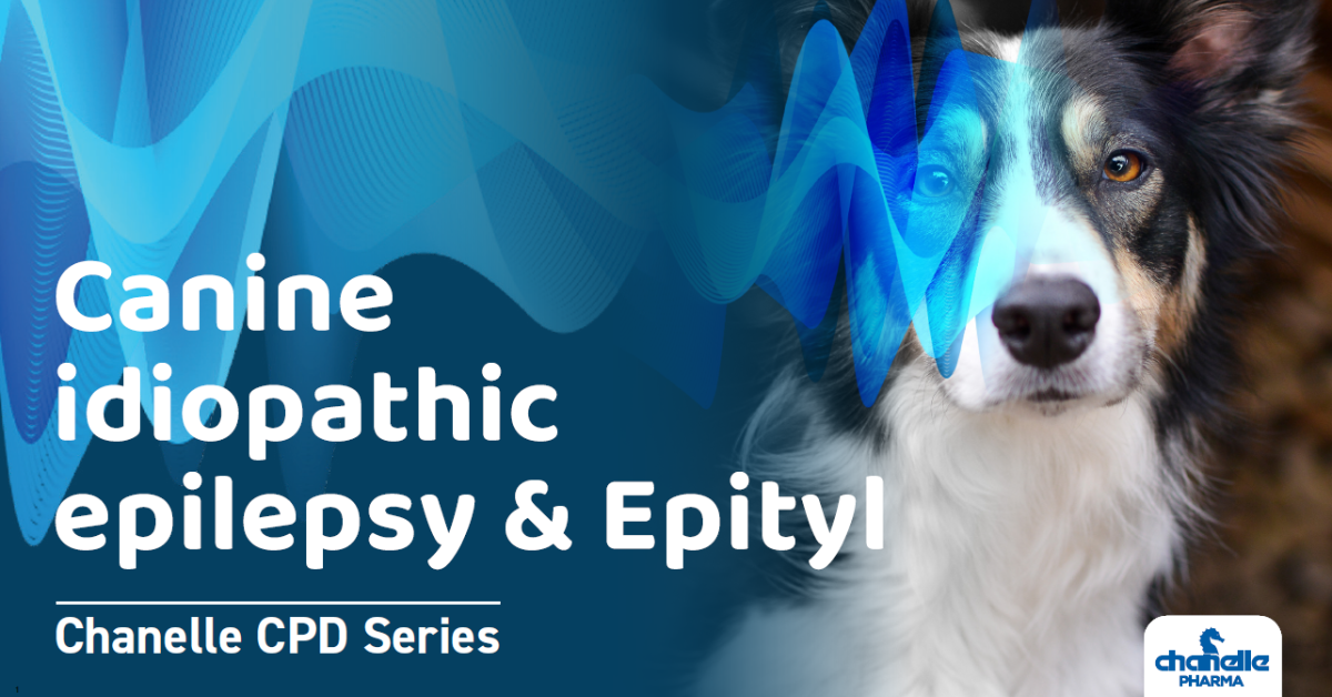Canine Idiopathic Epilepsy - CPD - Chanelle Pharma