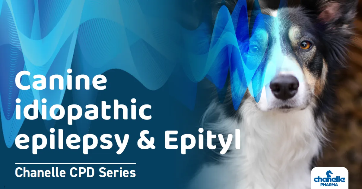 Canine Idiopathic Epilepsy - CPD - Chanelle Pharma