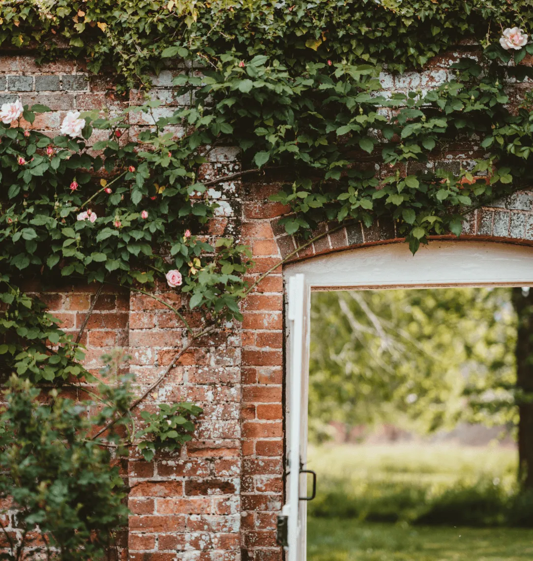 The Greyleigh History | Greyleigh