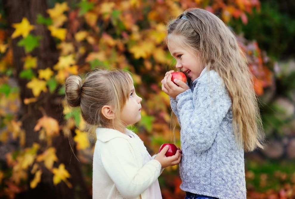 Fall Mini-session set up Ideas | Picsello