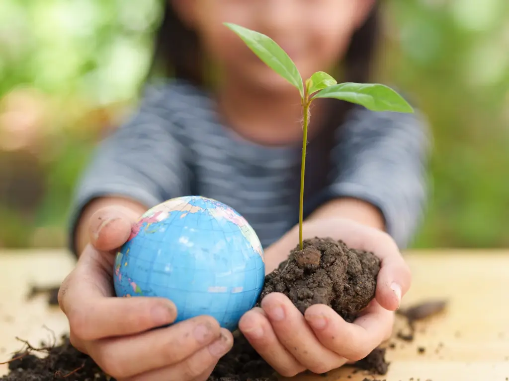 Escola sustentável: 8 dicas para colocar em prática | Árvore