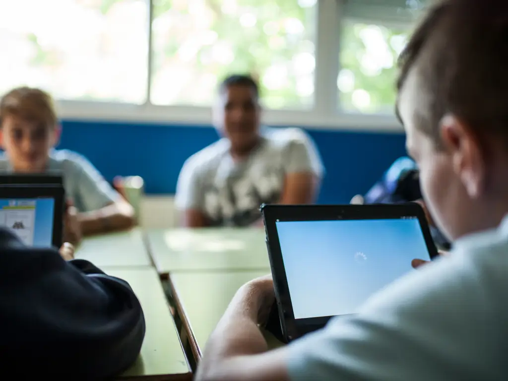 Como integrar competências socioemocionais ao projeto educativo? | Árvore