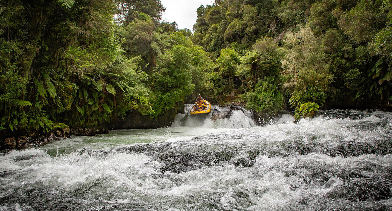 Kaituna River Rafting | Whitewater Rafting Rotorua | Rotorua Rafting
