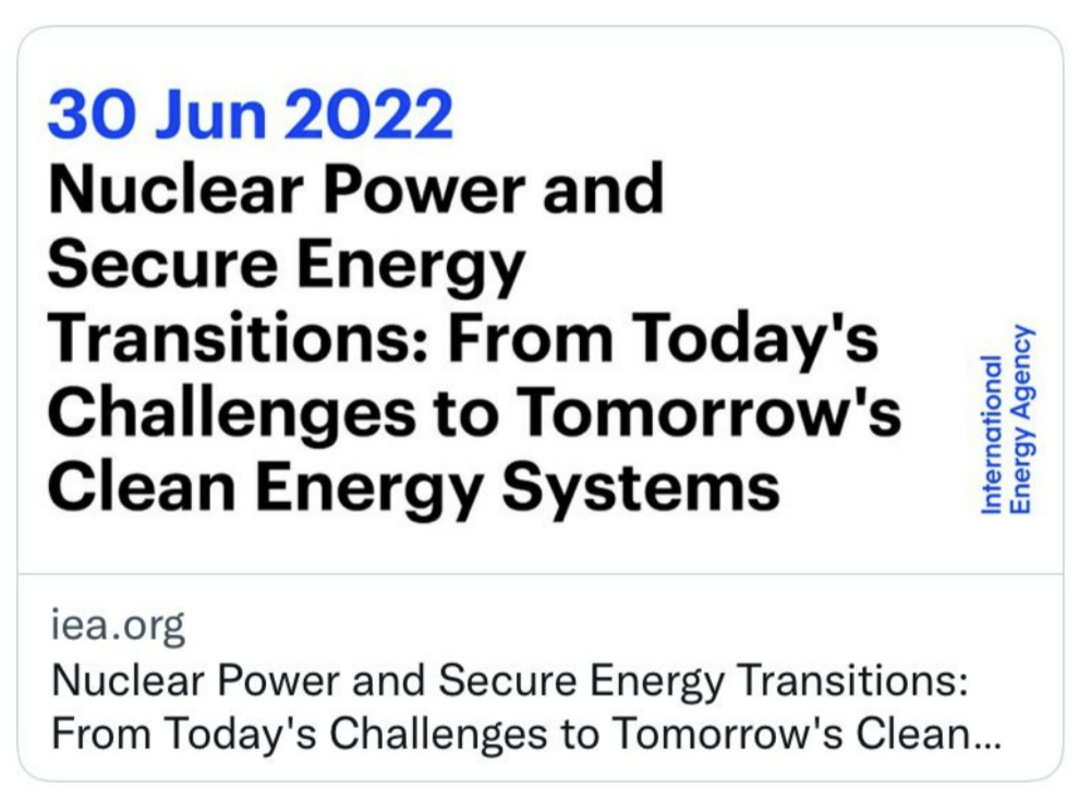 Nuclear Power and Secure Energy Transitions: From Today's Challenges to ...