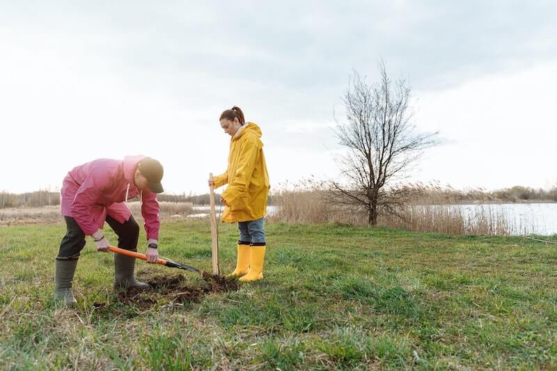 Employee Volunteer Program Basics: Benefits, Best Practices, And ...