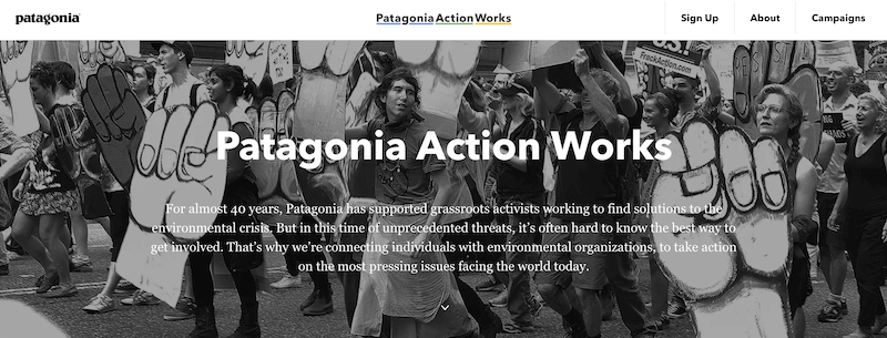 Employee Volunteer Program Basics: Benefits, Best Practices, And ...