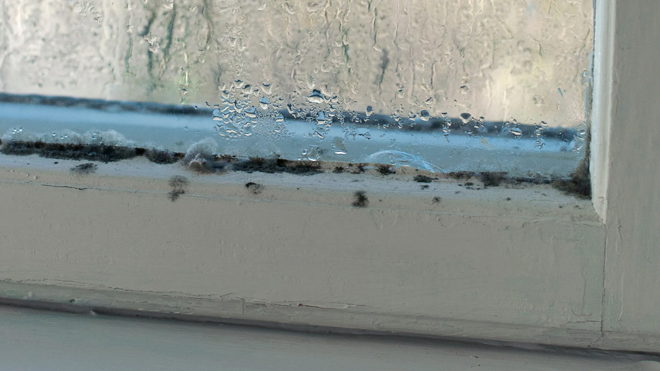 How to Detect and Fix Curtainwall Leaks [2024 Guide]