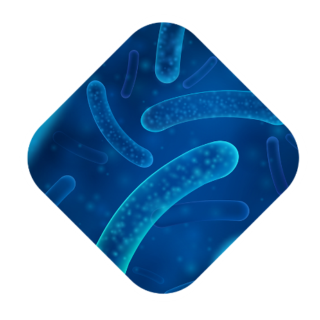 Probiotic Manufacturers & Suppliers | Unique Biotech