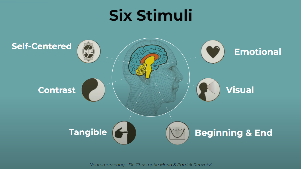 Braindy™ - Why you should use Neuromarketing and the 6 stimuli formula in your designs