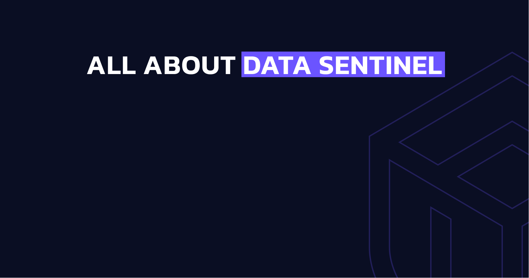All About Data Sentinel | Data Management Platform