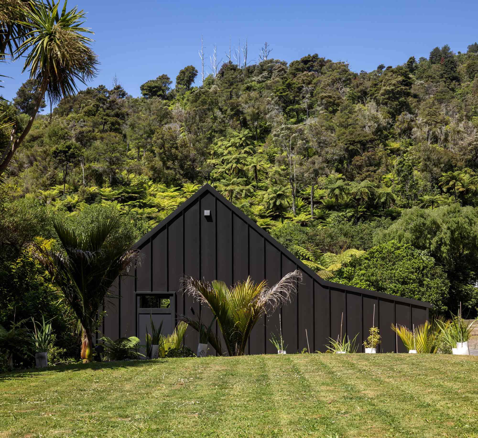 Arthouse Architects | Residential | Longbeach Bay Annex