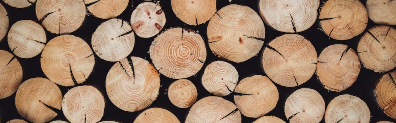 Roadmap to Net Zero Homes