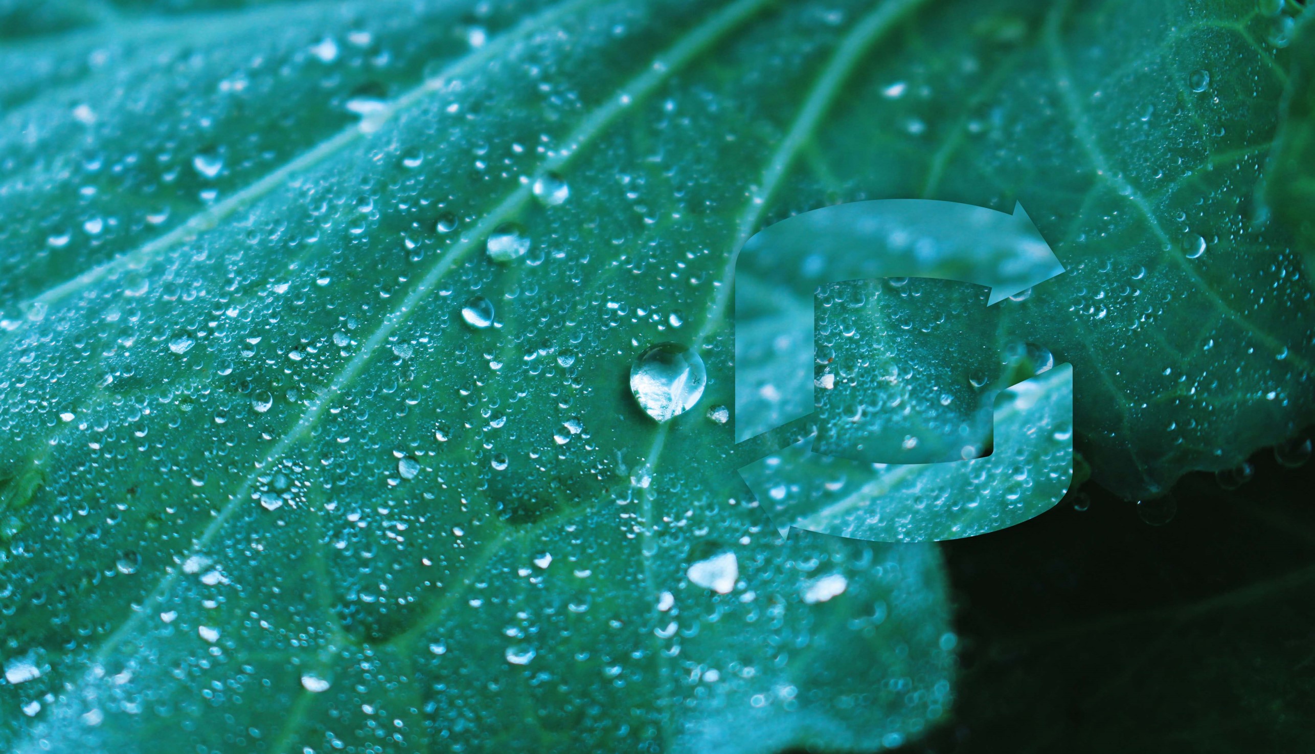 Reconomy Group publishes its 2021 Sustainability Report | News | Client ...