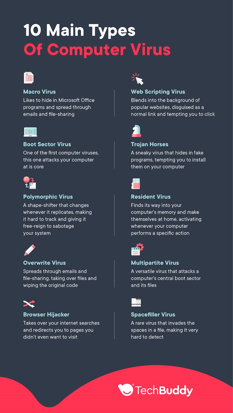 The 10 Main Types Of Computer Virus And How To Avoid Them BuddyCompany The 10 Main Types Of Computer Virus And How To Avoid Them BuddyCompany