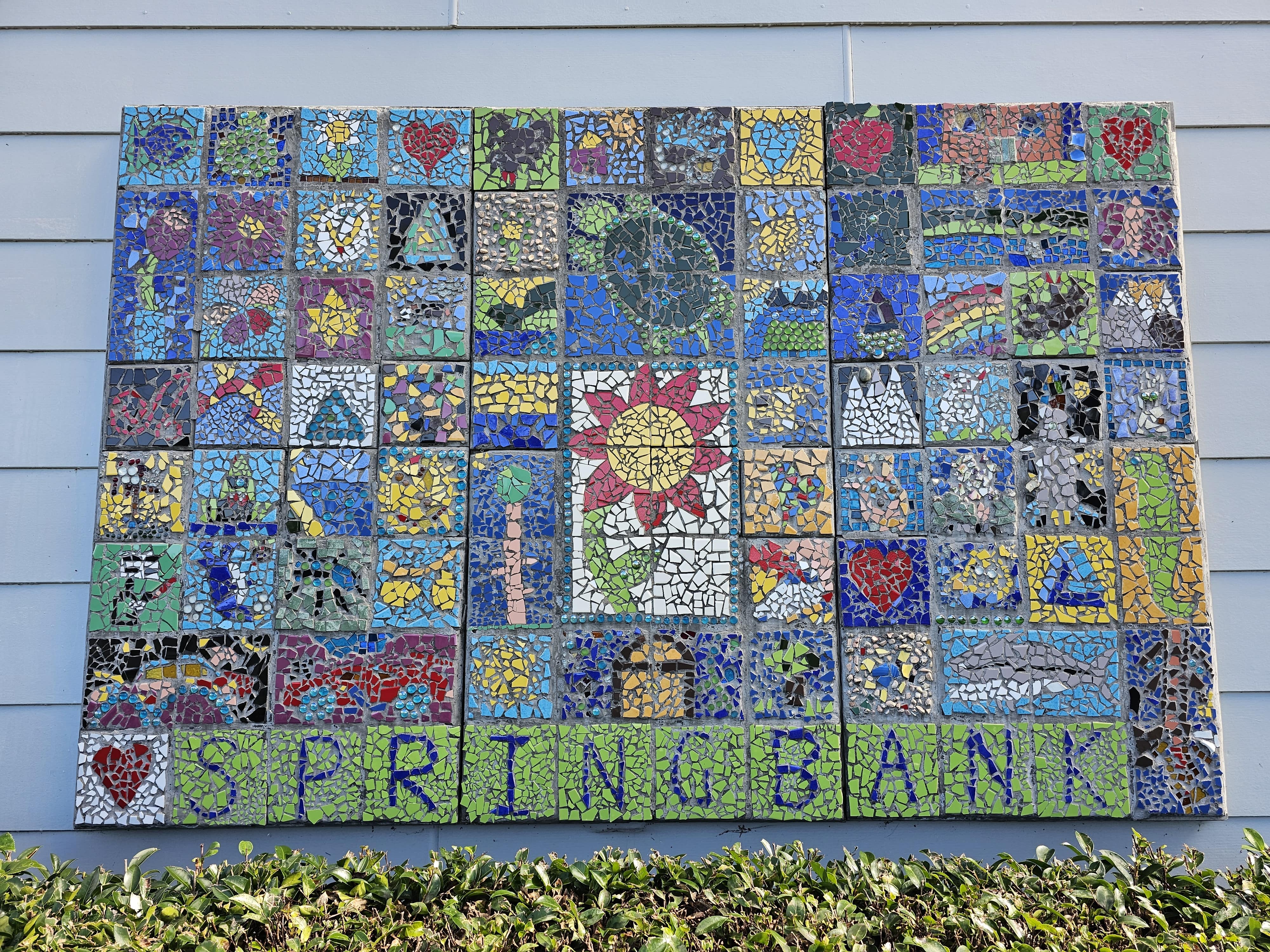 Principal's Welcome | Springbank School Kerikeri