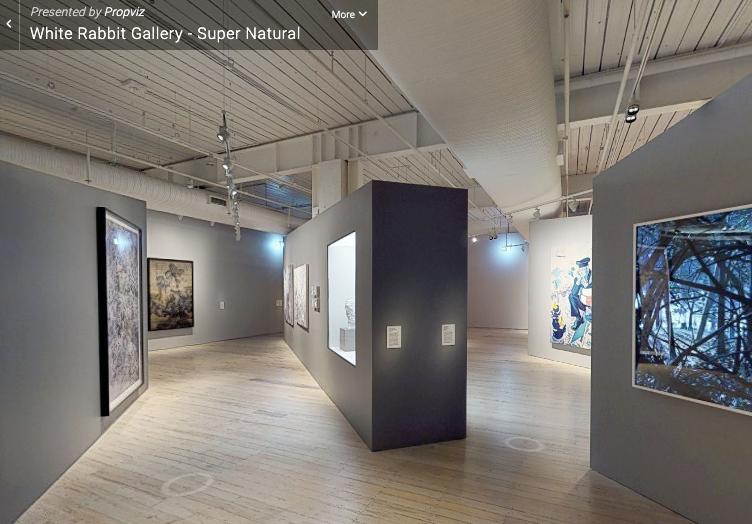 Inspiring Chinese Art: 10 Years of White Rabbit Gallery