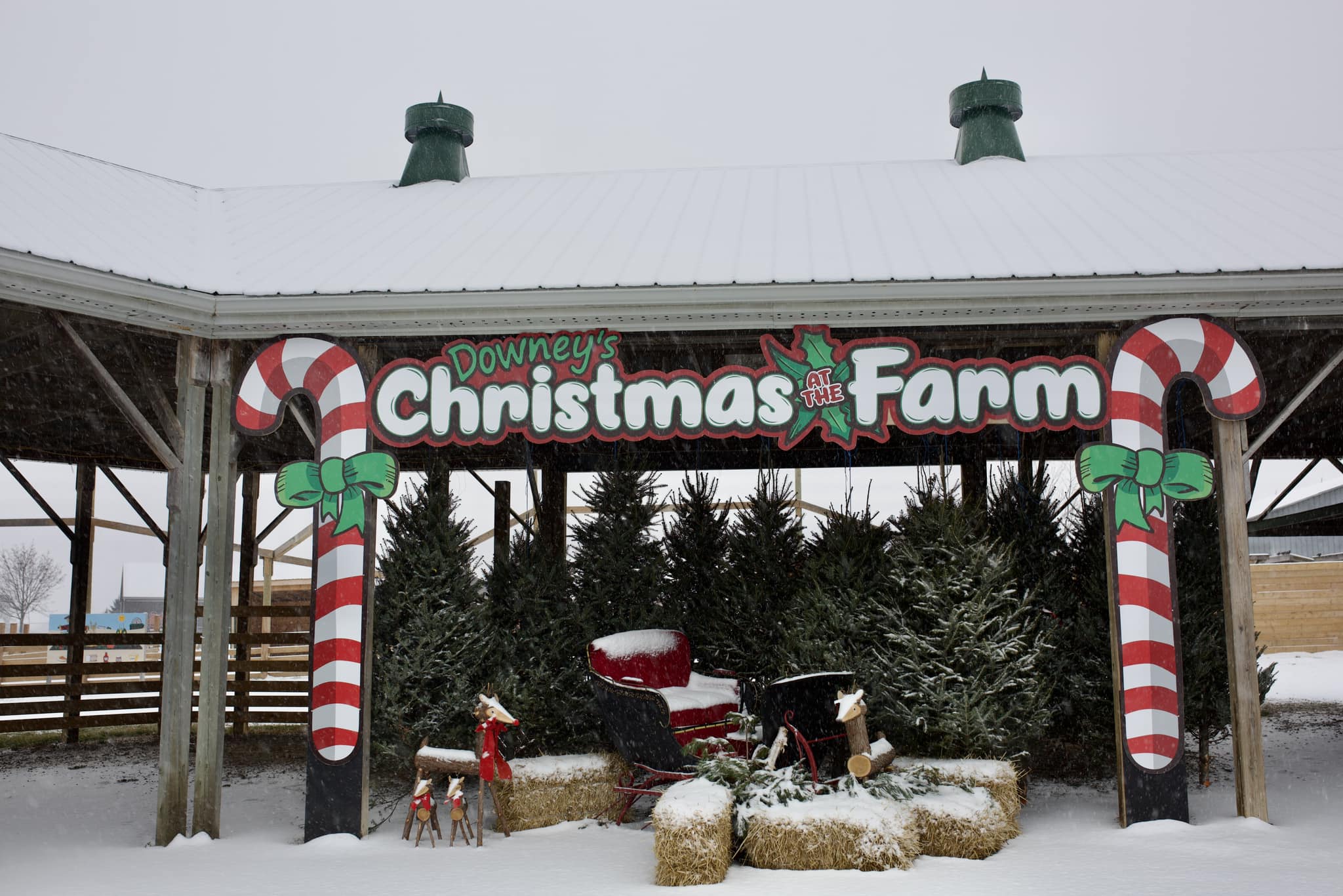 Downey's Presents: Christmas at the Farm