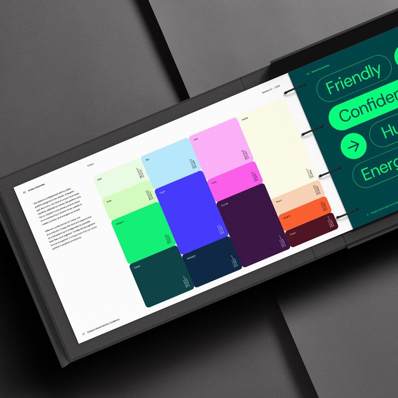 Calypso Brand Guidelines — Made by Circular — Adobe brand templates for ...
