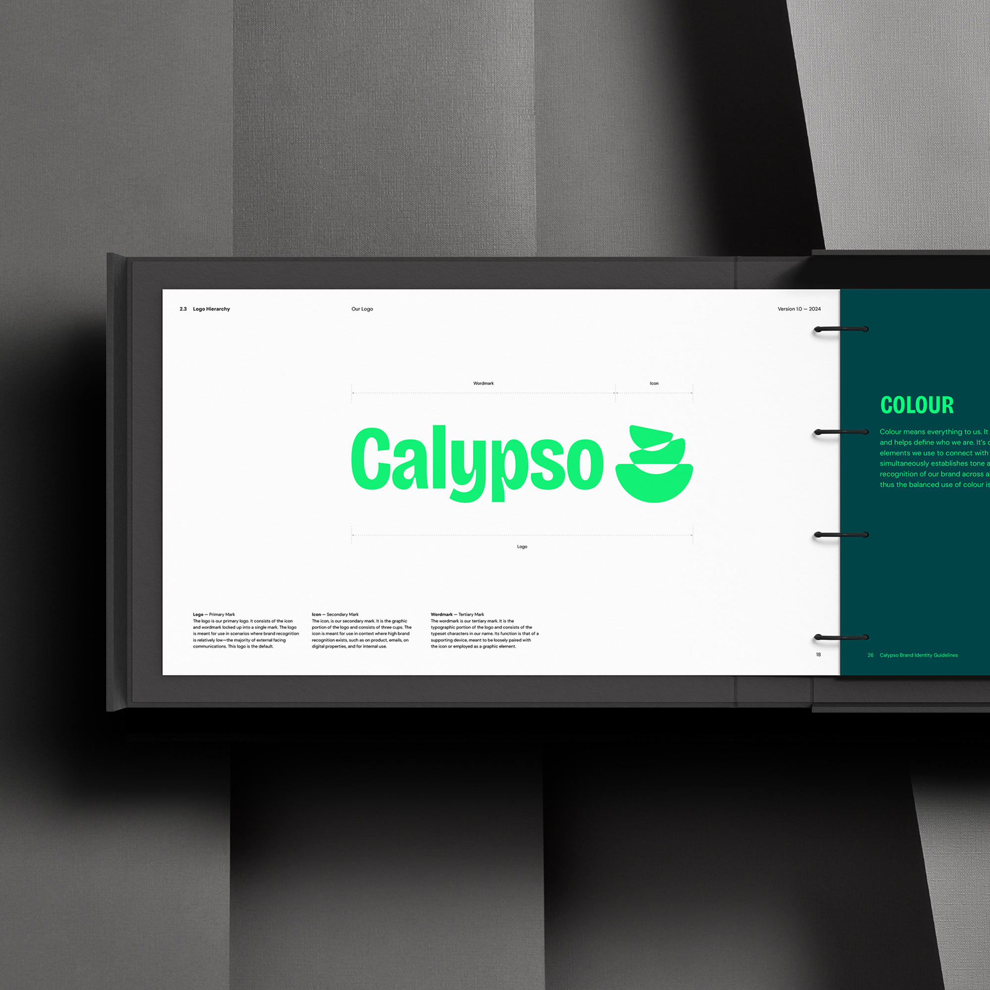 Calypso Brand Guidelines — Made by Circular — Adobe brand templates for ...