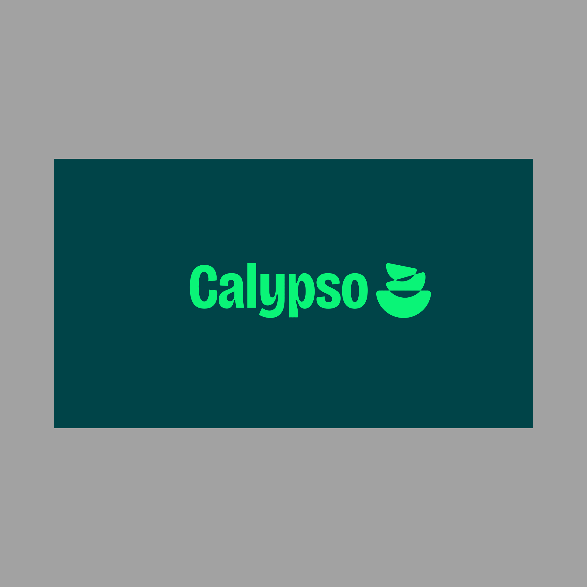 Calypso Brand Guidelines — Made by Circular — Adobe brand templates for ...