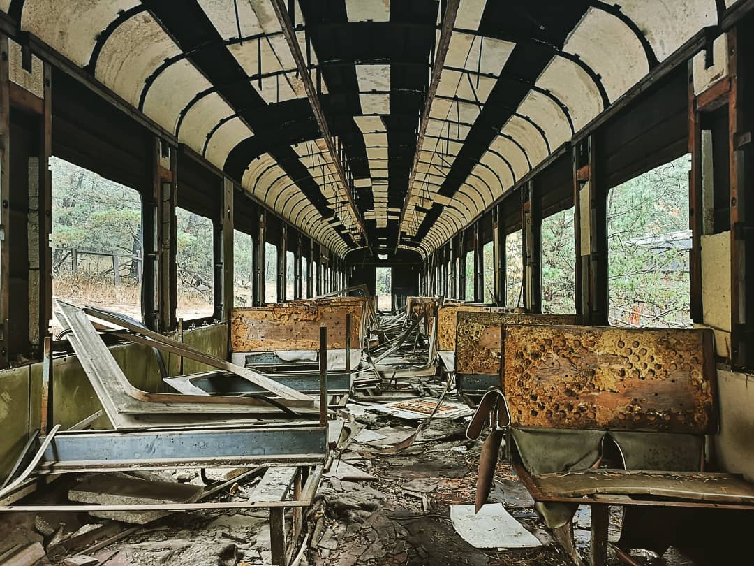Beauty in Decay: The Red Forest of Chernobyl