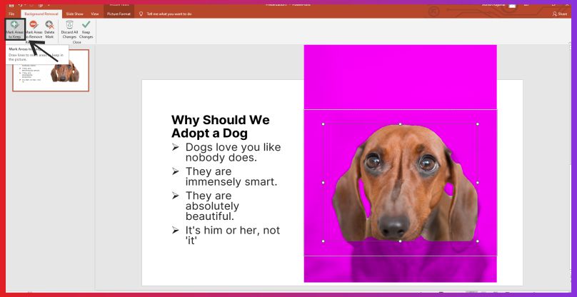 How to Remove Background In PowerPoint?