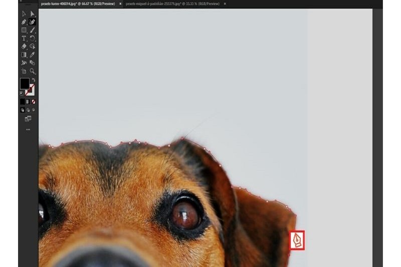 How to Remove Backgrounds in Illustrator? (Simple Methods)