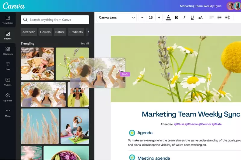 Best Online Graphic Design Software Programs For Designers