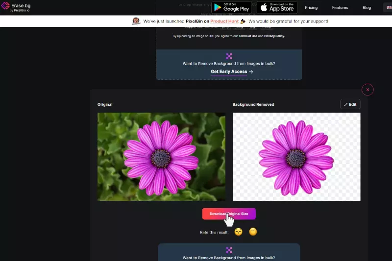 How to Make Flower Background Transparent?