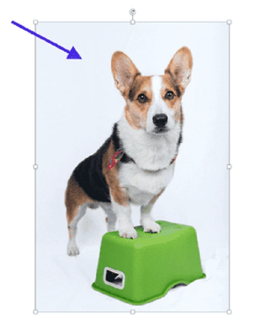 How to Remove Background In PowerPoint?