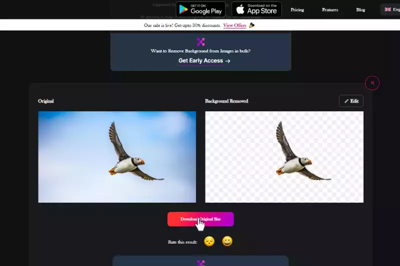 How to Remove Background In PowerPoint?