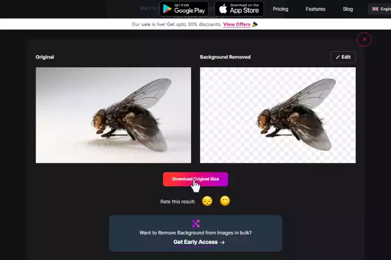 Remove background from PhotoDirector