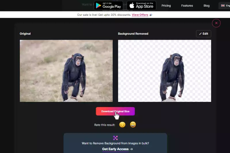Remove background from Circuit Design Space