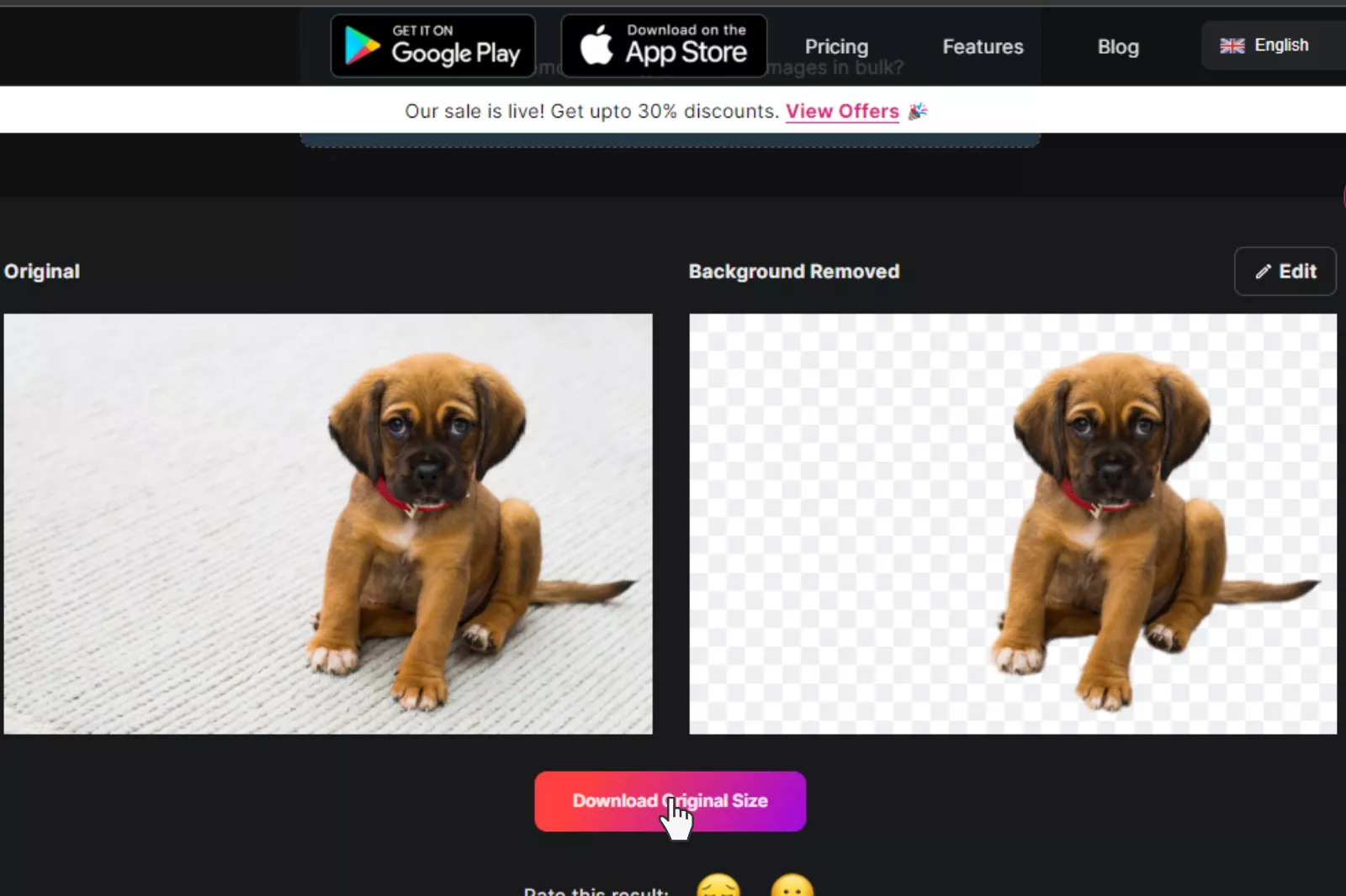 How To Erase Background In Windows (A Step-by-Step Guide)