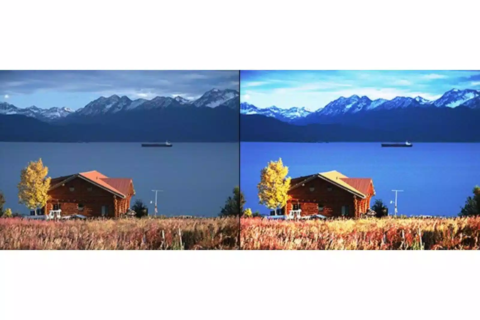 Photo Studio Tips for Easy Background Removal