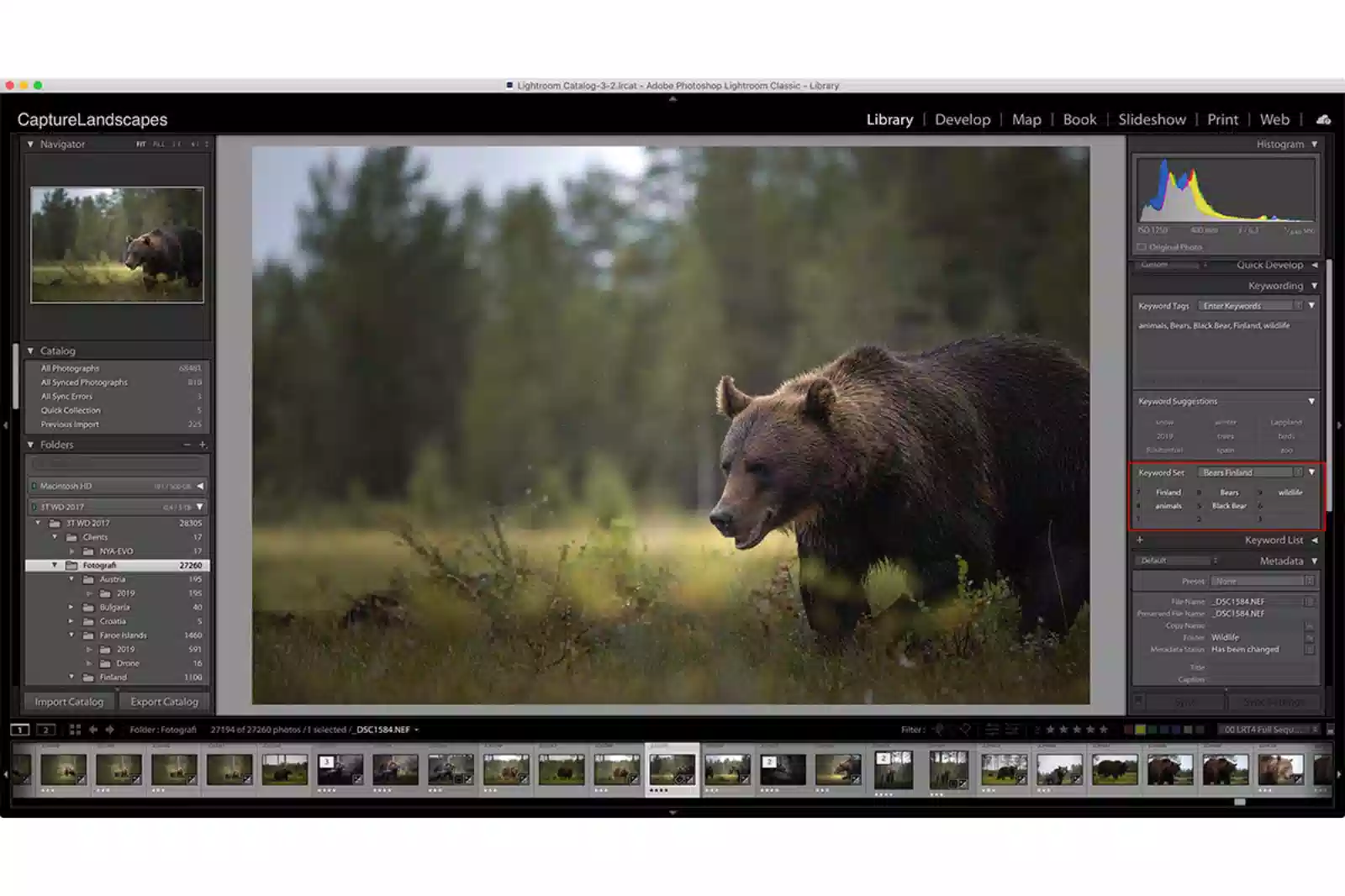 Adobe’s Lightroom vs Adobe’s Photoshop - Which Is Best
