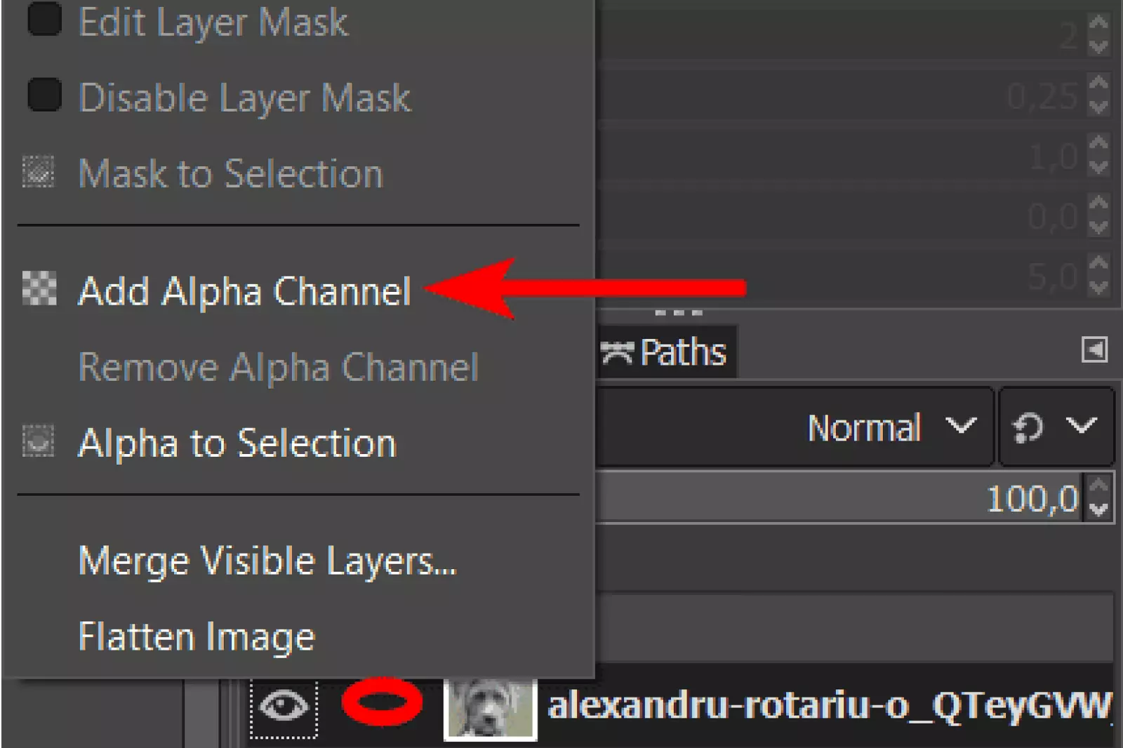 How to Change the Background to Transparent in GIMP?