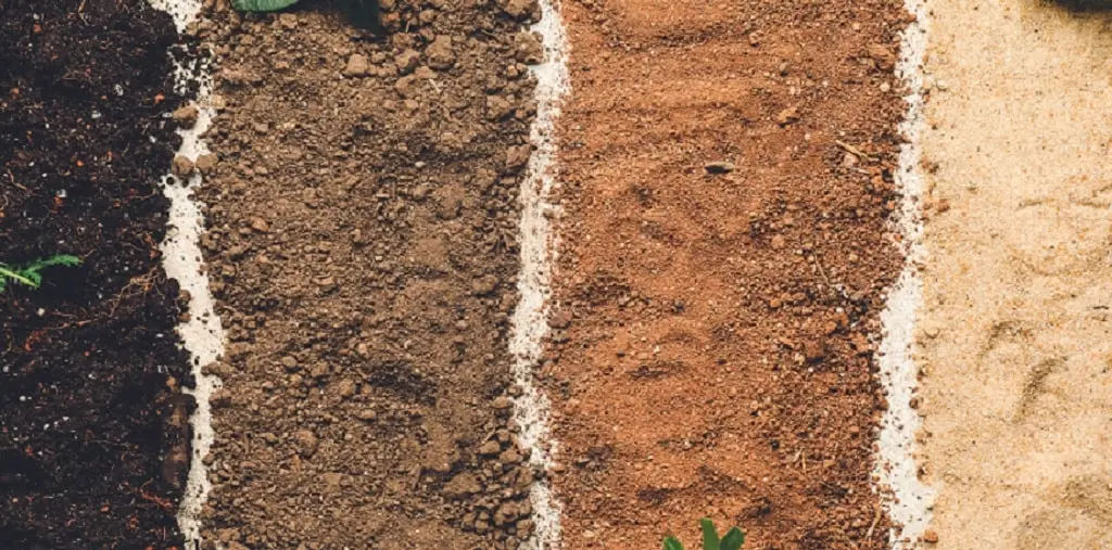 Natural Stone Garden Edging: Step-by-Step Guide | Stone Center