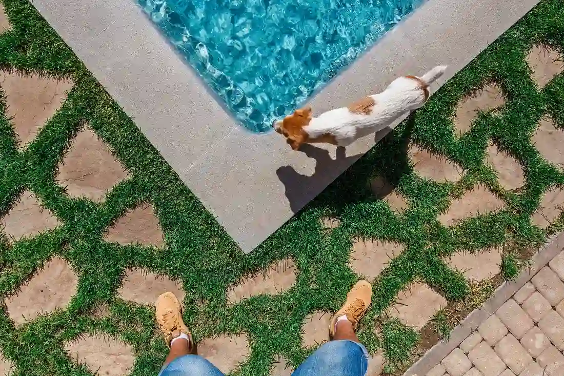 Benefits of Limestone Paving: a Complete Guide | Stone Center