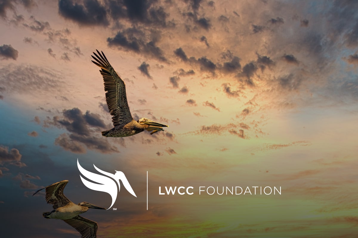 LWCC News | LWCC Announces the Launch of the LWCC Foundation