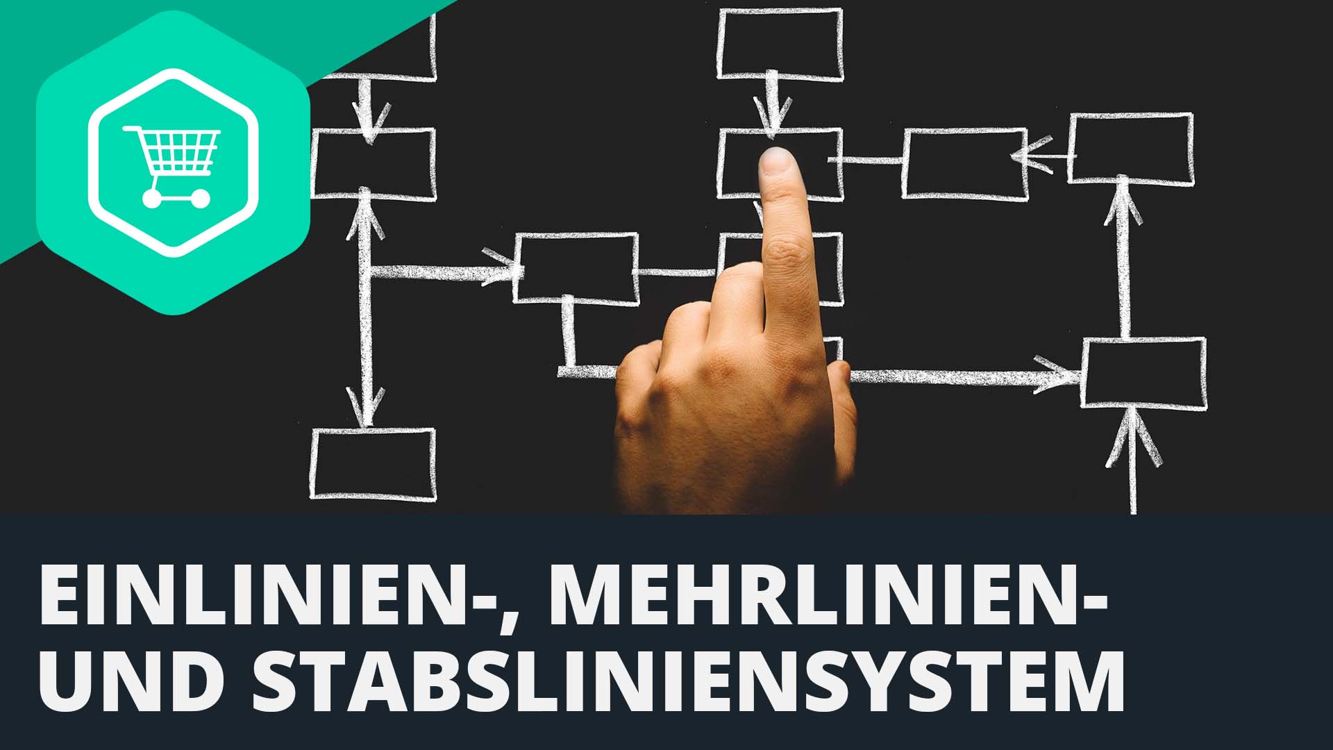 Einlinien-, Stablinien- und Mehrliniensystem einfach erklärt - simpleclub