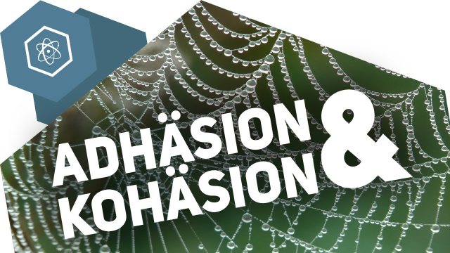 Adhäsion & Kohäsion einfach erklärt - simpleclub